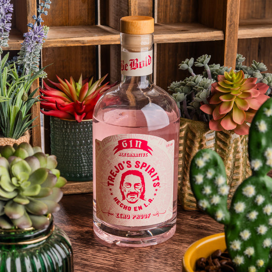 Trejo's Spirts - Tequila Alternative – Trejo's Spirits